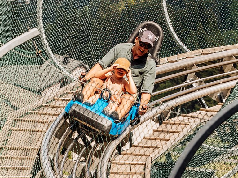 Bob-luge - moleson.ch : une montagne de loisirs