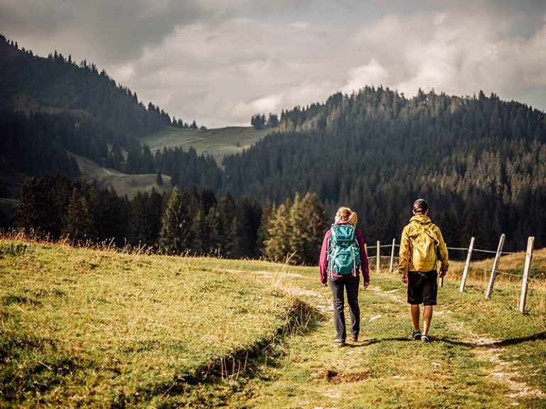 Tour de Plan-Francey - moleson.ch : une montagne de loisirs