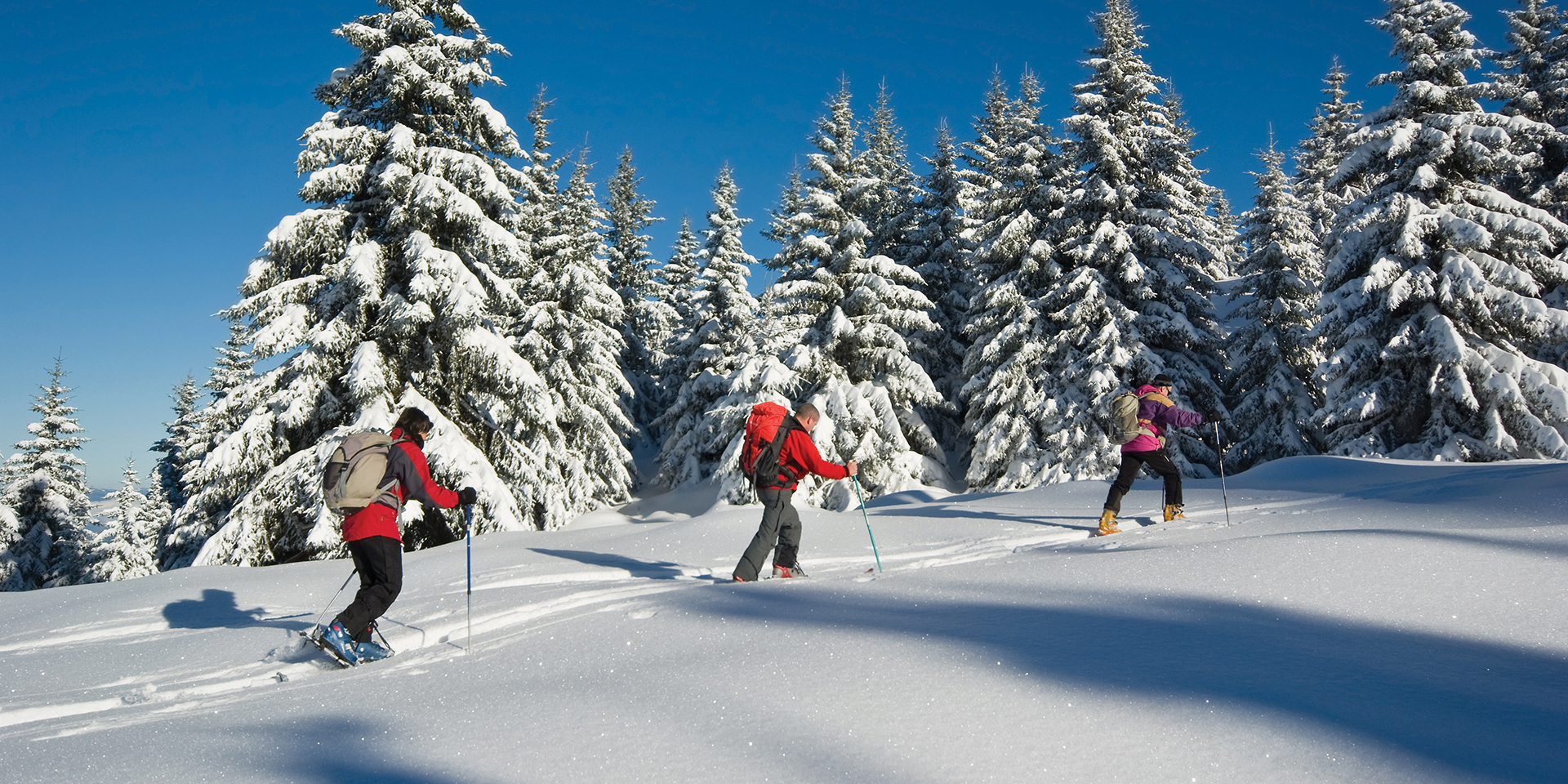 Ski de randonnée - moleson.ch : une montagne de loisirs