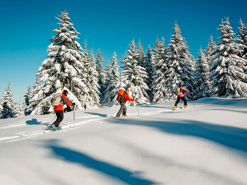 Toutes les activités d'hiver - moleson.ch : une montagne de loisirs