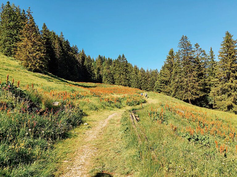 Plan-Francey-Les Paccots - moleson.ch : une montagne de loisirs