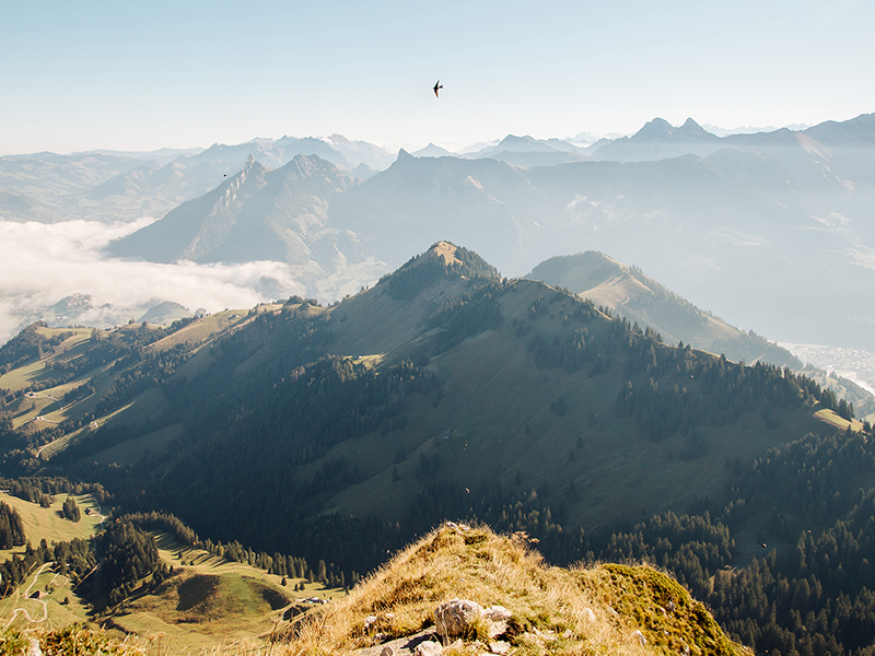Toutes Les Randonnées - moleson.ch : une montagne de loisirs