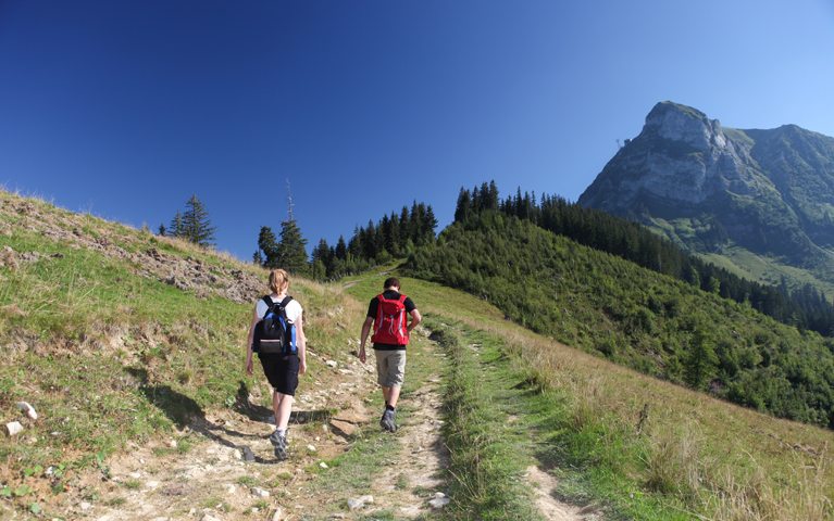 Tour de Plan-Francey - www.moleson.ch : une montagne de loisirs